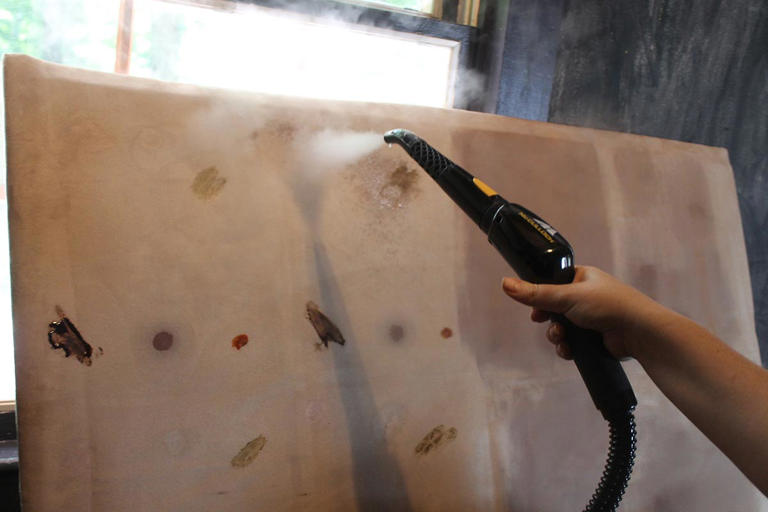 7 best handheld steam cleaners of 2026, tested and vetted