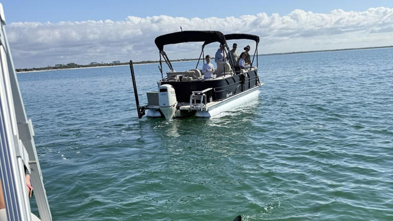 Tampa Bay captains say they saw a great white shark. Did they?