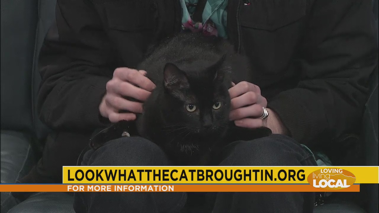 Look what the cat brought in | Give!Campaign interview