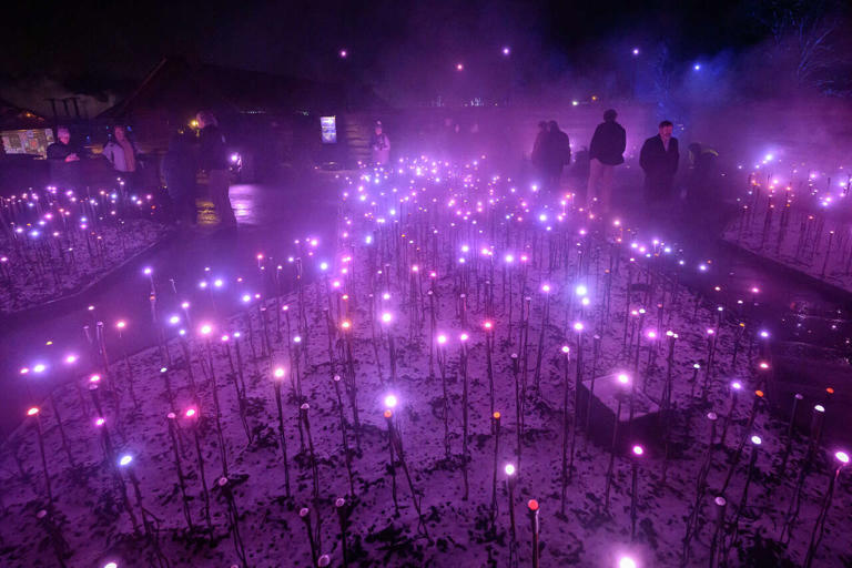 Weather, competing events caused Winter's Dream not to return to Lake ...