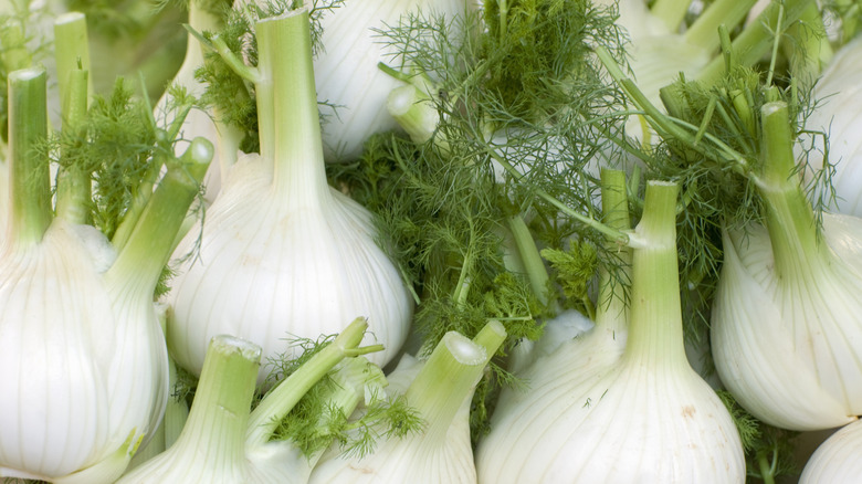 12 onion substitutes that work remarkably well