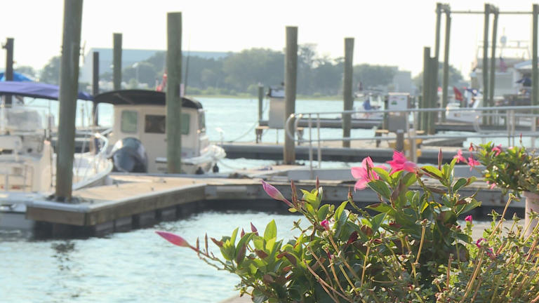 Beaufort Town Docks transitions to new management