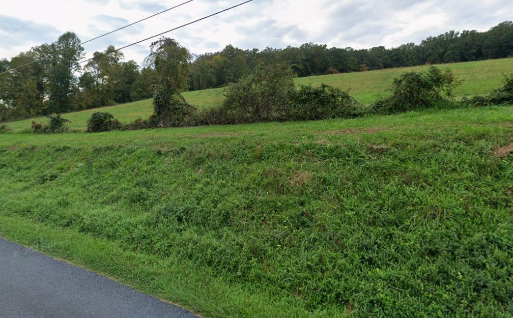 Coyote ataca a una persona en el condado Chester