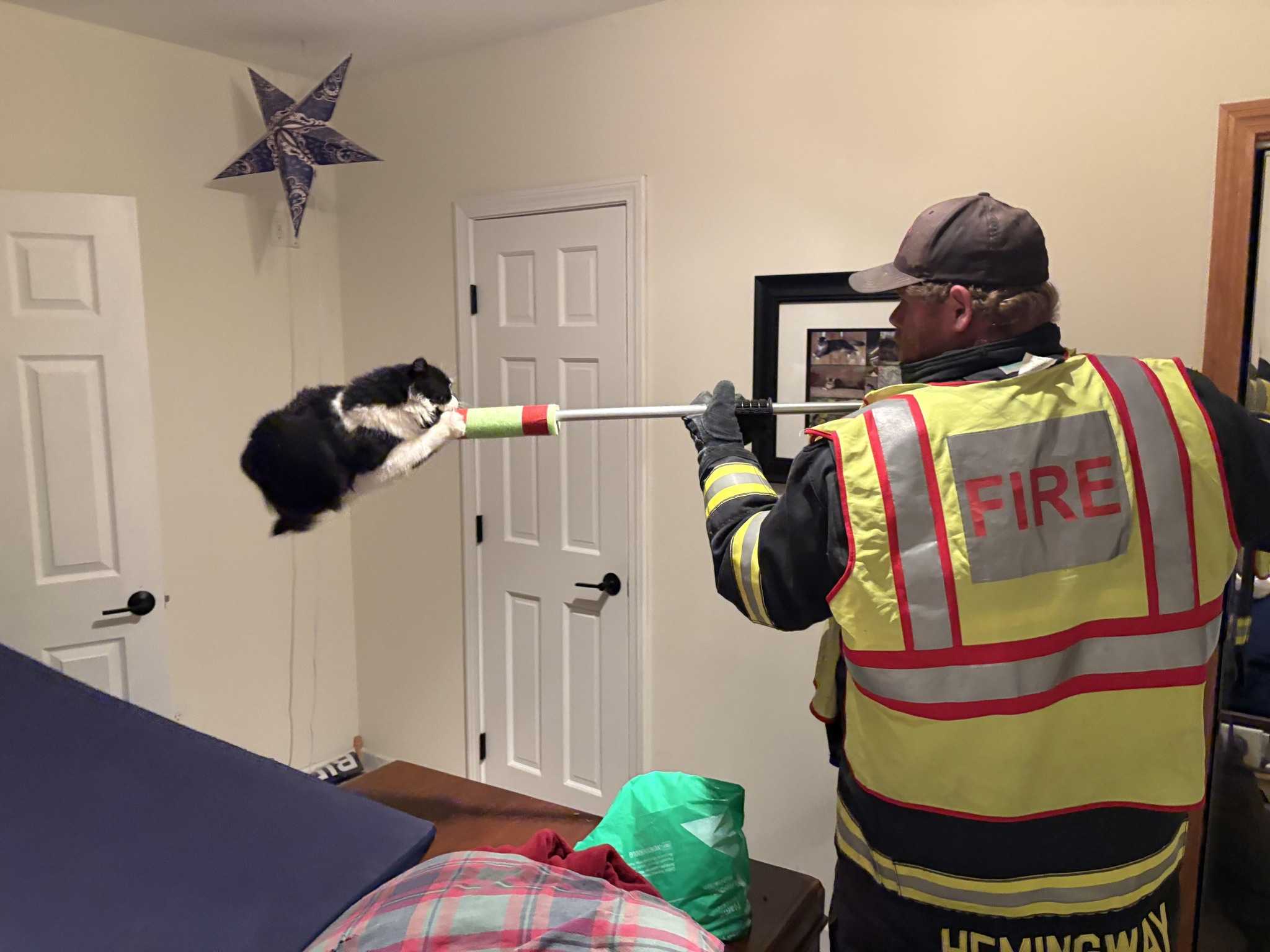 Vermont fire department recalls 'unique' feral cat rescue call as 2025 ...