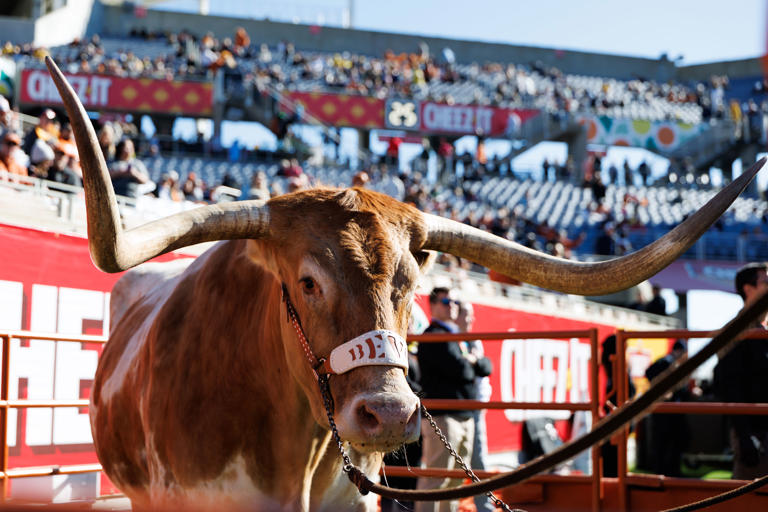 No. 13 Texas vs. No. 18 Michigan live updates: Arch Manning runs for TD ...