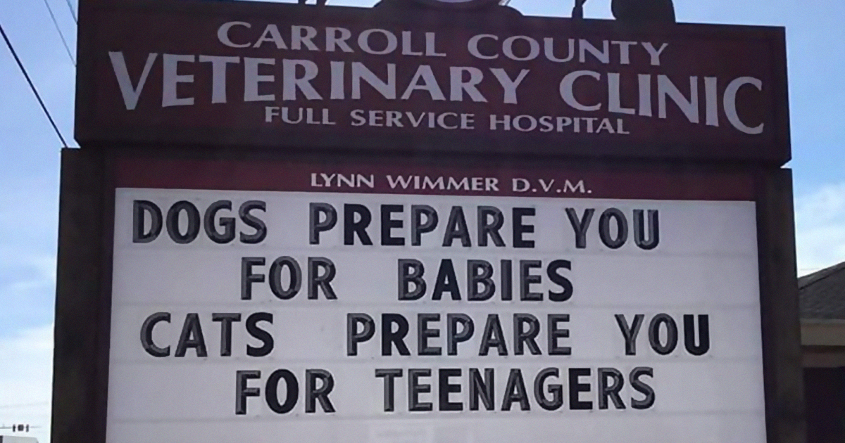 29 of the funniest outdoor signs from this vet clinic that dad joke ...