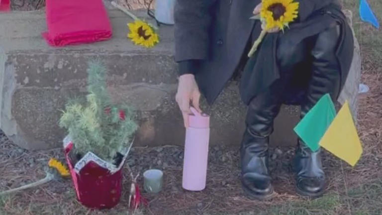 'Unfathomable': Mother forced to unearth son buried in double-booked ...