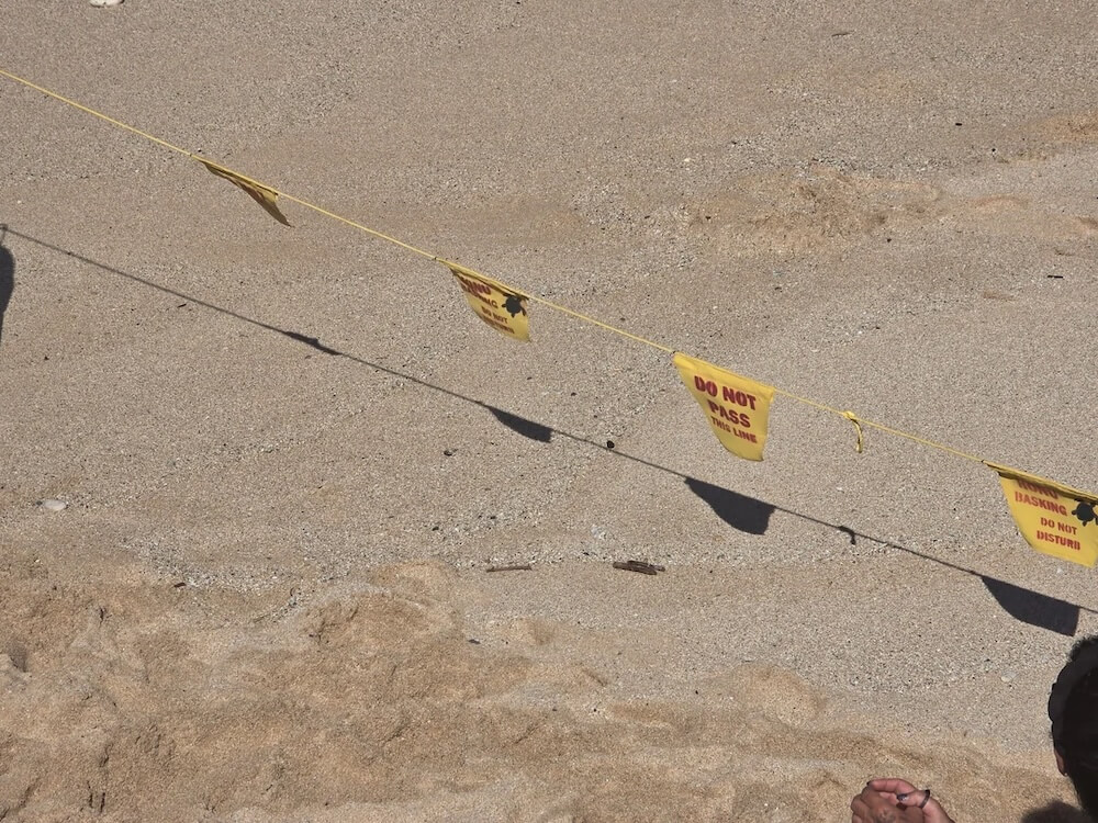 Onlooker captures photos of tourist's thoughtless actions on beach ...