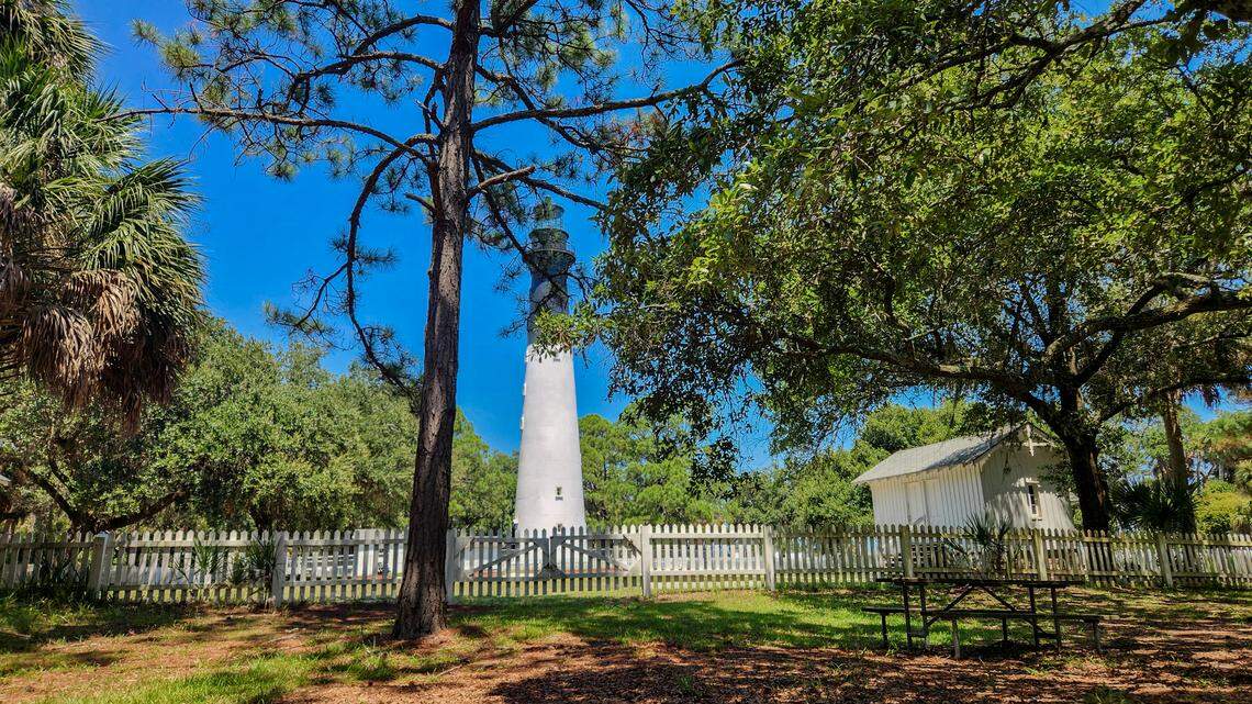 How to participate in ranger-led New Year's Day hike at Hunting Island ...