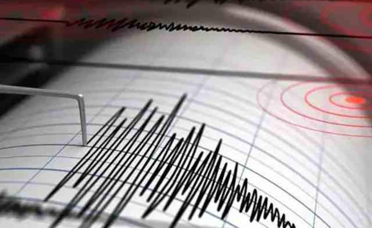 Magnitude 6 earthquake strikes off coast of Japan's Noda region: USGS