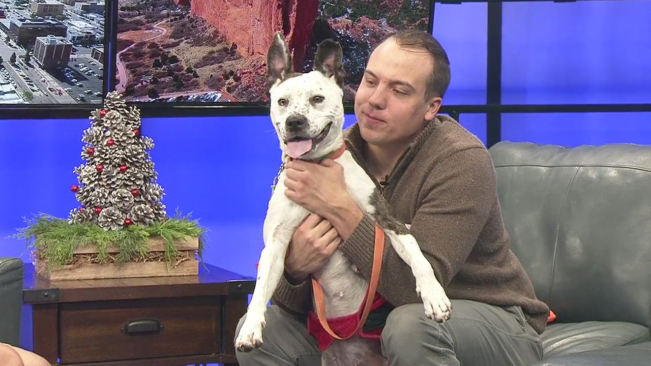 Home sweet home: Meet Ruby