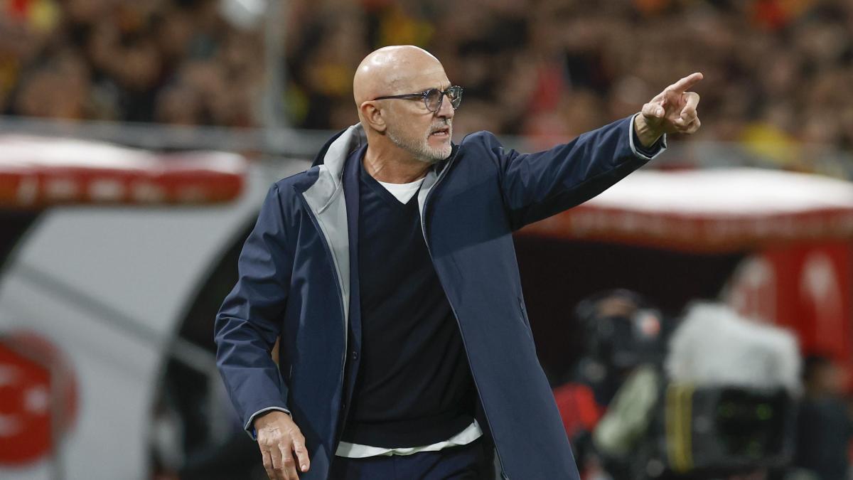 De la Fuente respalda a la selección antes del Europeo: "Aquí no hay ...