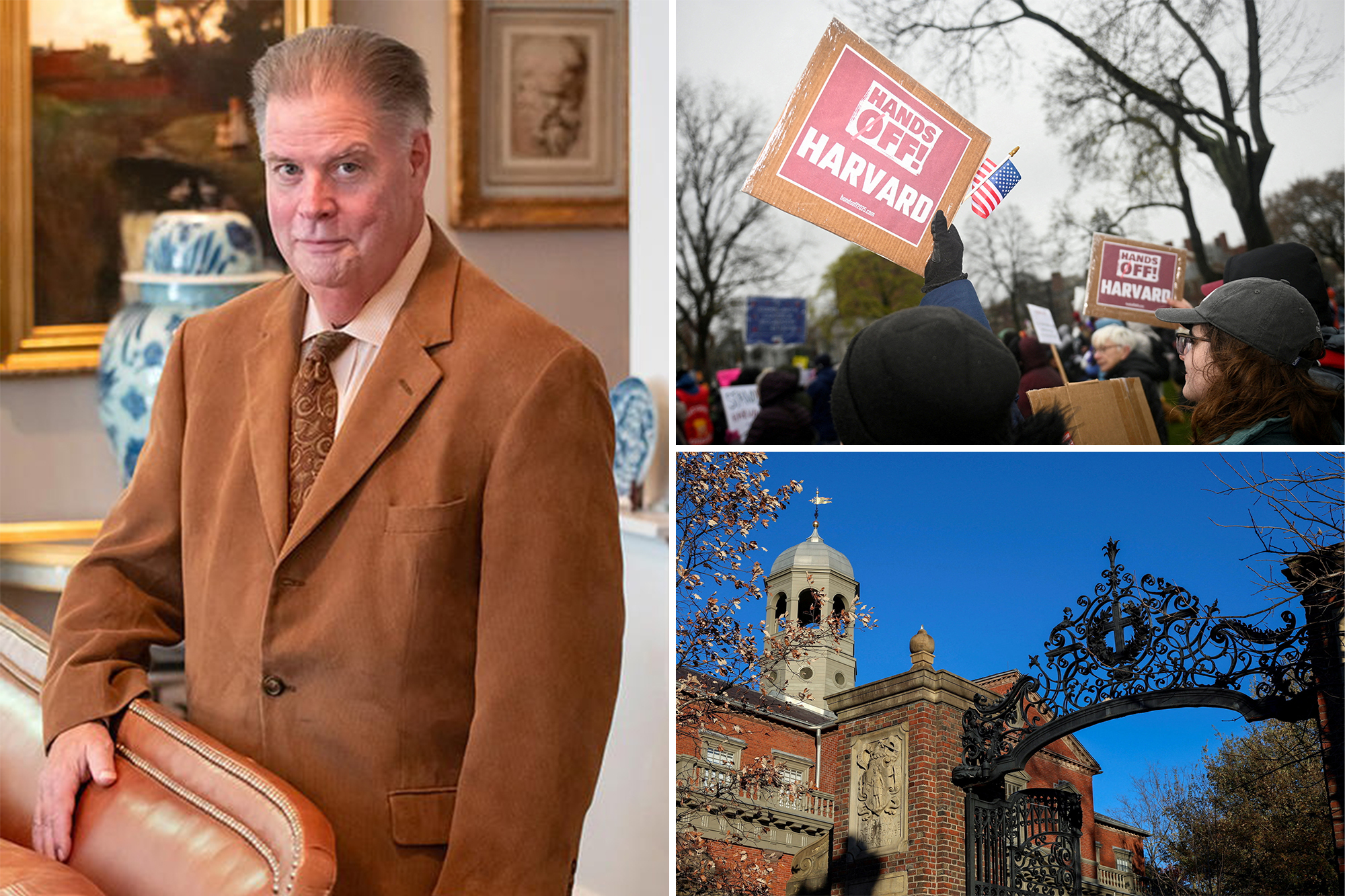 Harvard professor torches Ivy League school over woke anti-white, anti ...