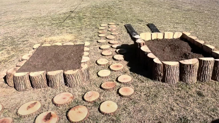 Turn old tree stumps and a wood pallet into a beautiful garden planter box