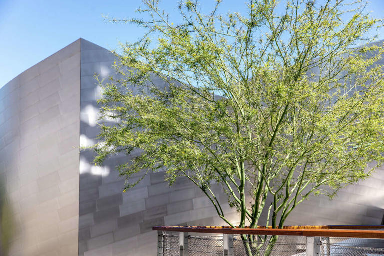 Design trends for 2026: What's in, what's out around the house