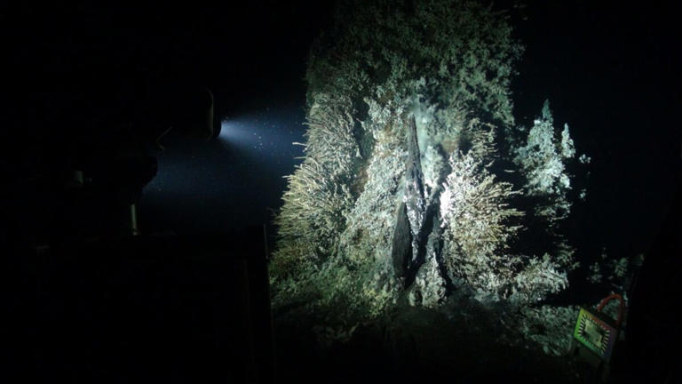 An underwater volcano off Oregon didn’t erupt in 2025: Scientists are ...