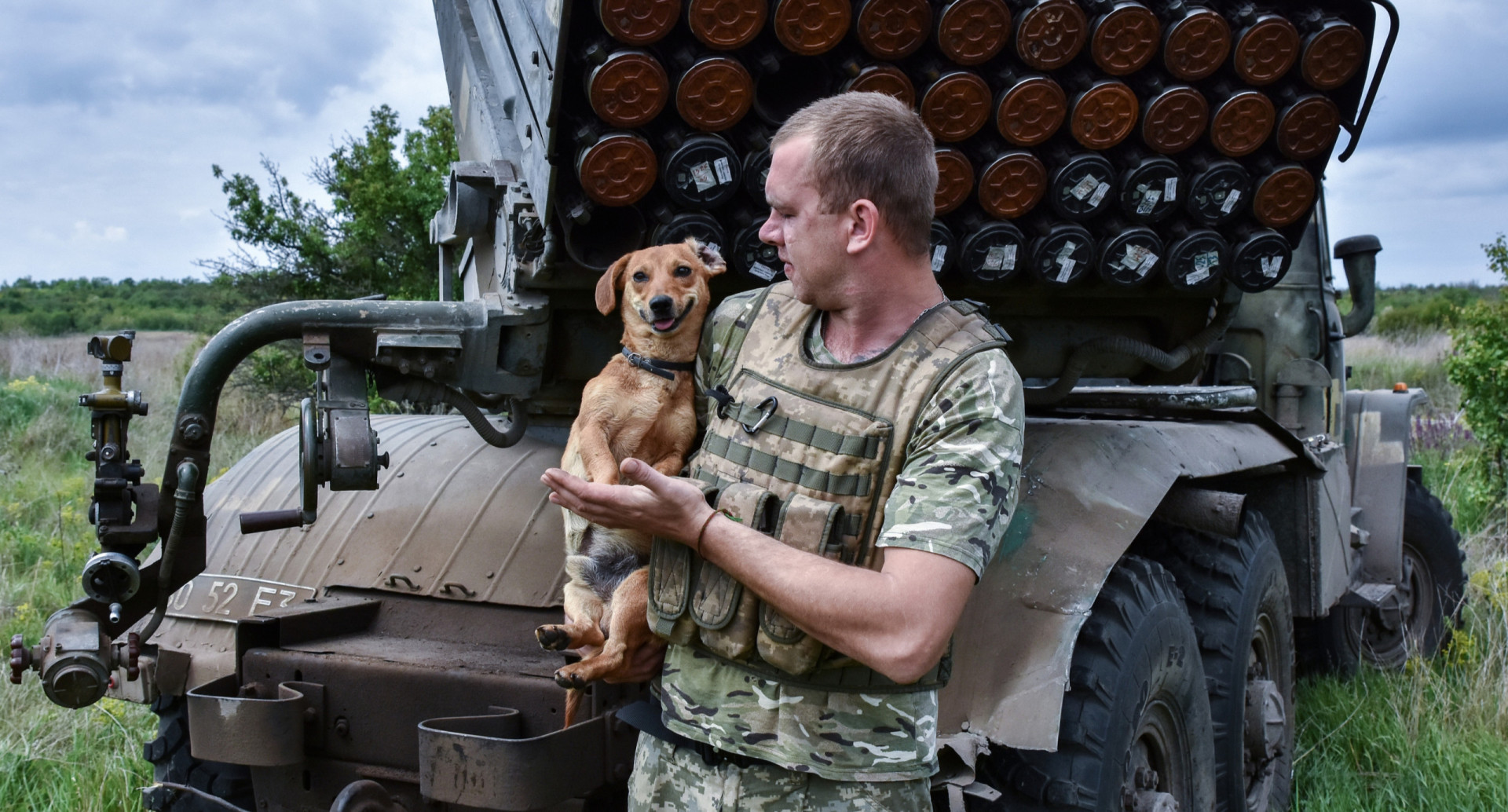 Wartime buddies: Animals fighting in human conflicts