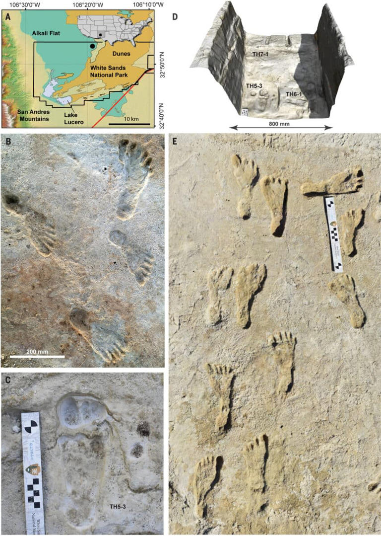 Scientists discover oldest human footprints in New Mexico, and the ...