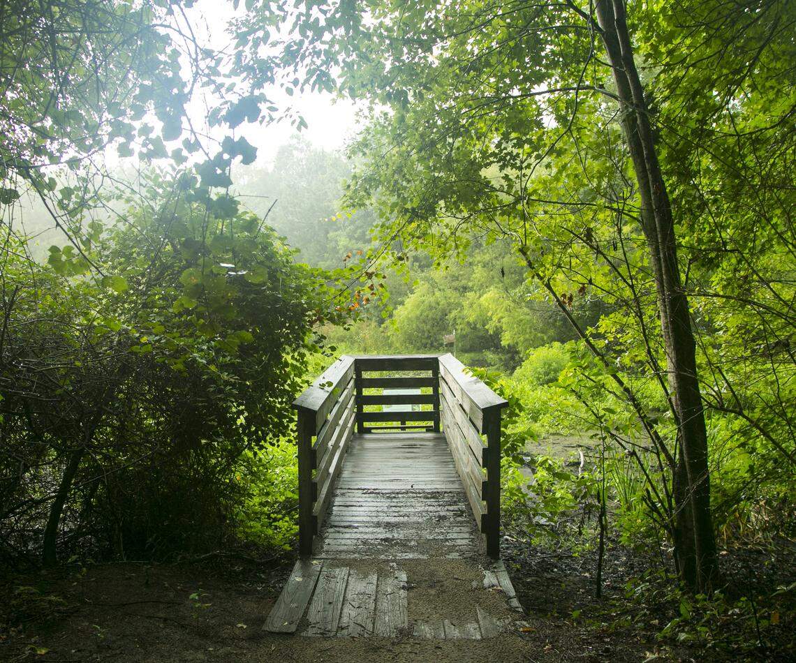 New Year's Day event a tradition for Myrtle Beach area residents. How ...