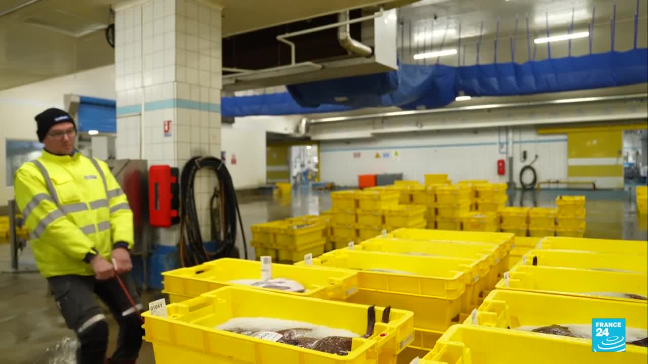 Brexit golpea a la pesca francesa entre menos licencias y mayor competencia