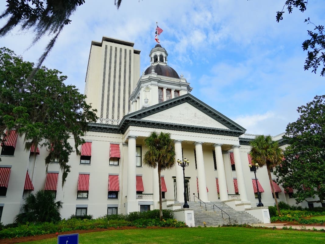 Here are 10 new FL laws going into effect on New Year's Day