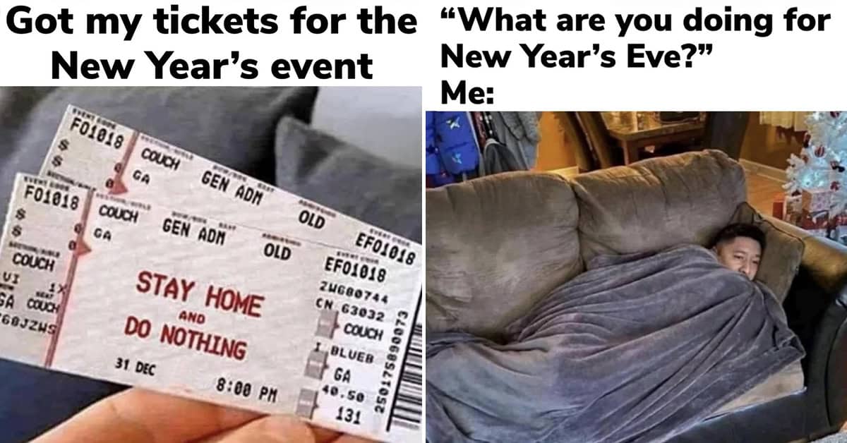 30 funny introvert memes for everyone staying home with their dog over ...