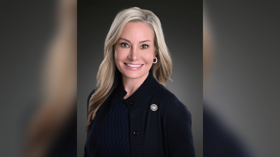 State Rep. Paula Davis to step down: 'This decision has not come lightly'