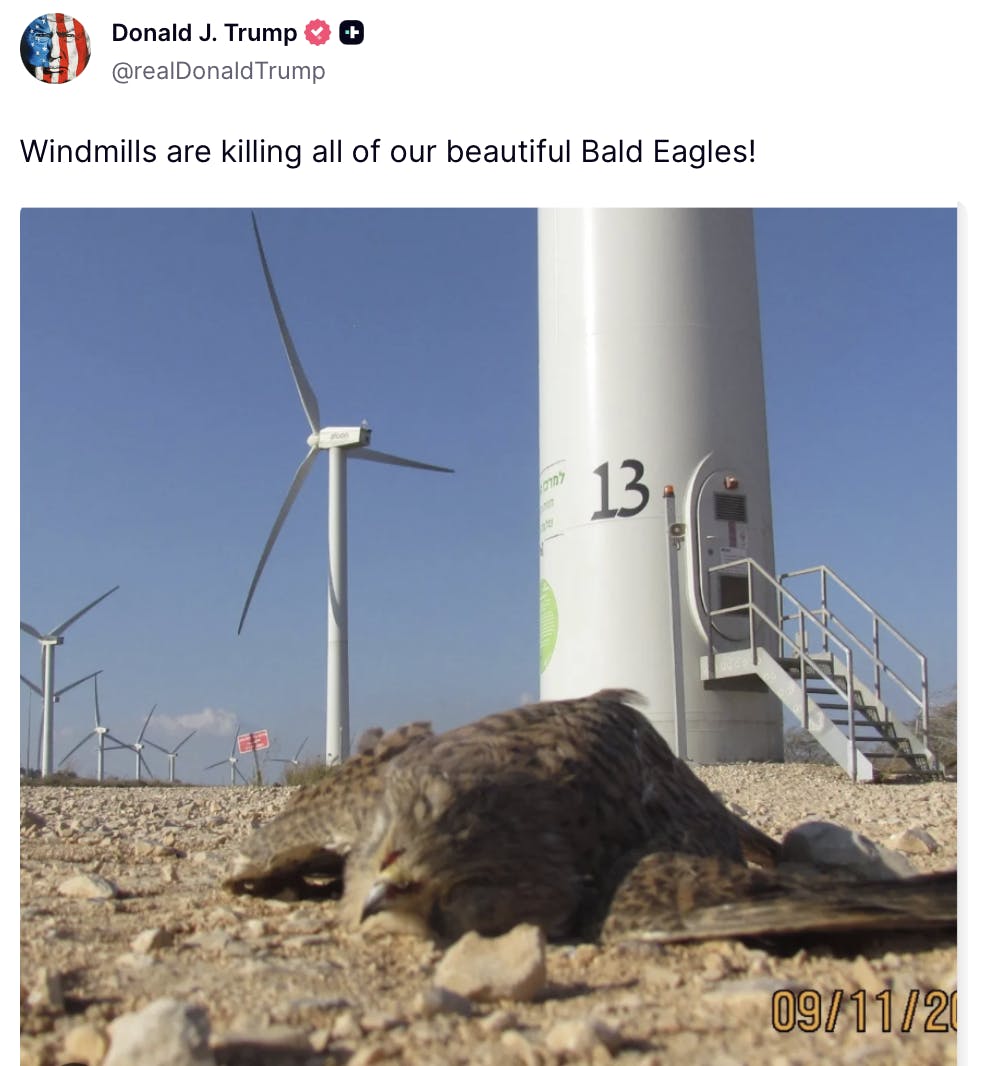 Trump whines about windmills killing eagles with weirdest photo ever