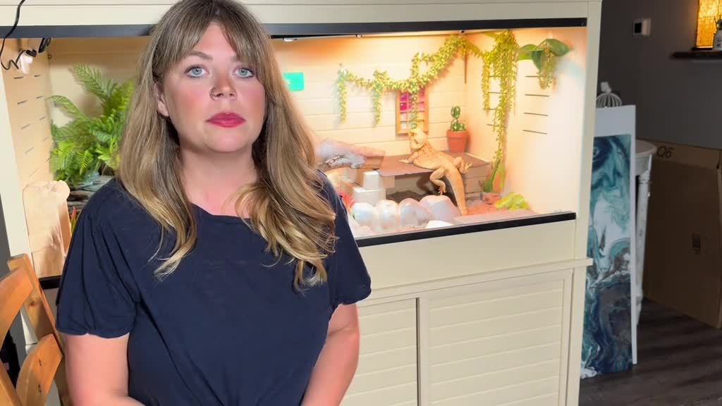 Bearded dragon sleeping all day: here is why