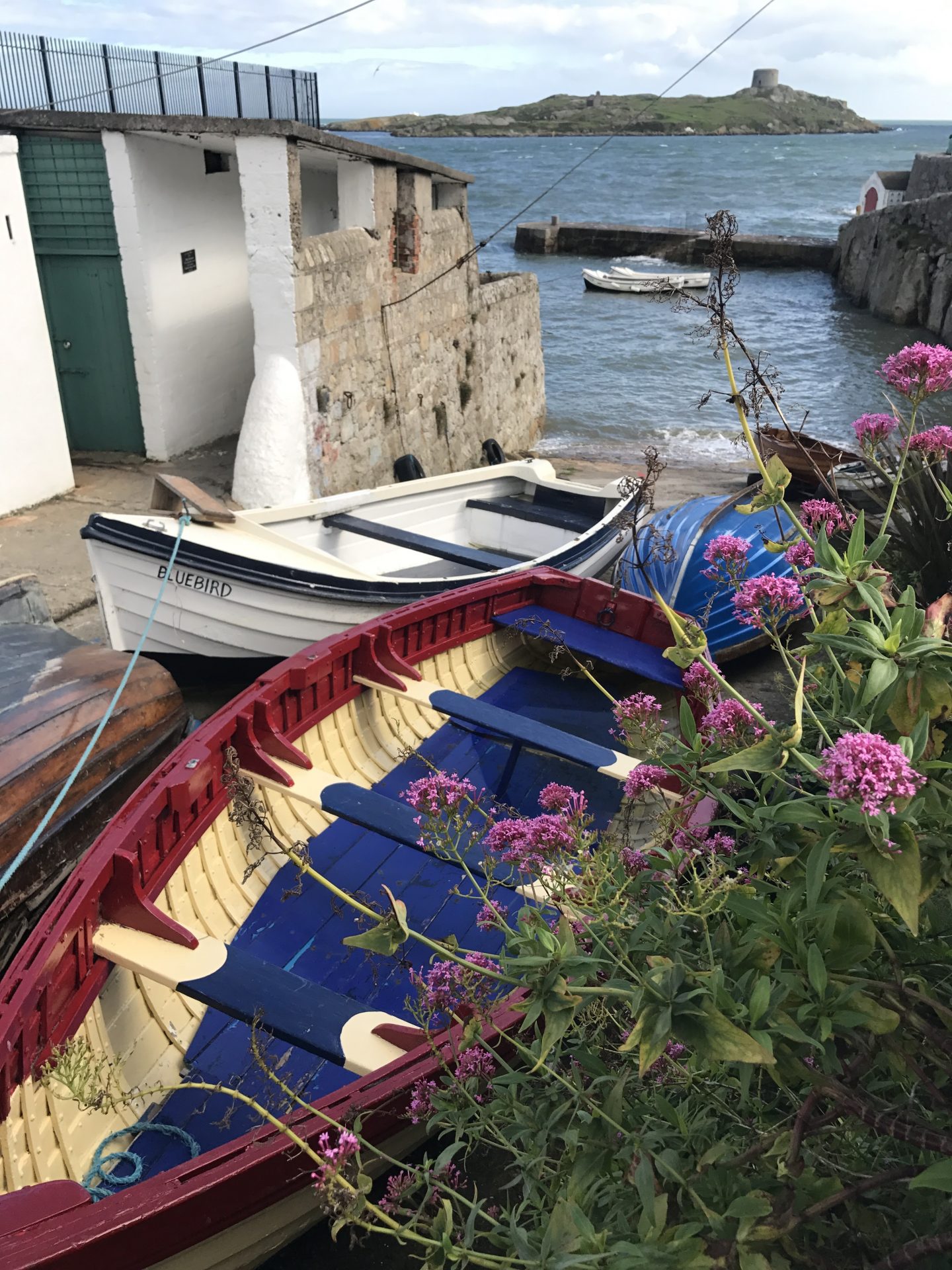 Travel contests: December 31, 2025 - Ireland, the Super Bowl, the ...