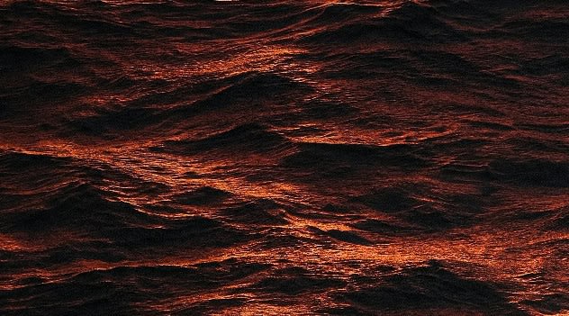 Toxic bloom returns to Florida: Red tide sparks fish kills and health ...