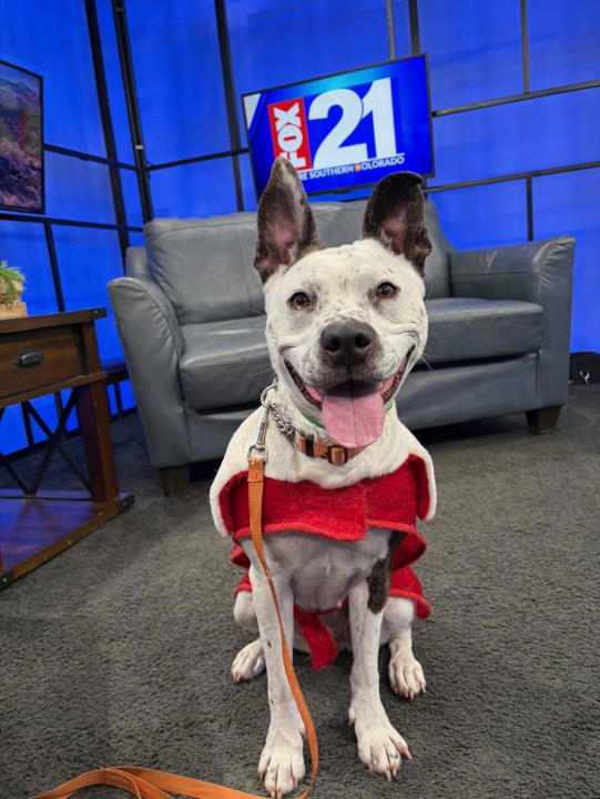 Home sweet home: Meet Ruby