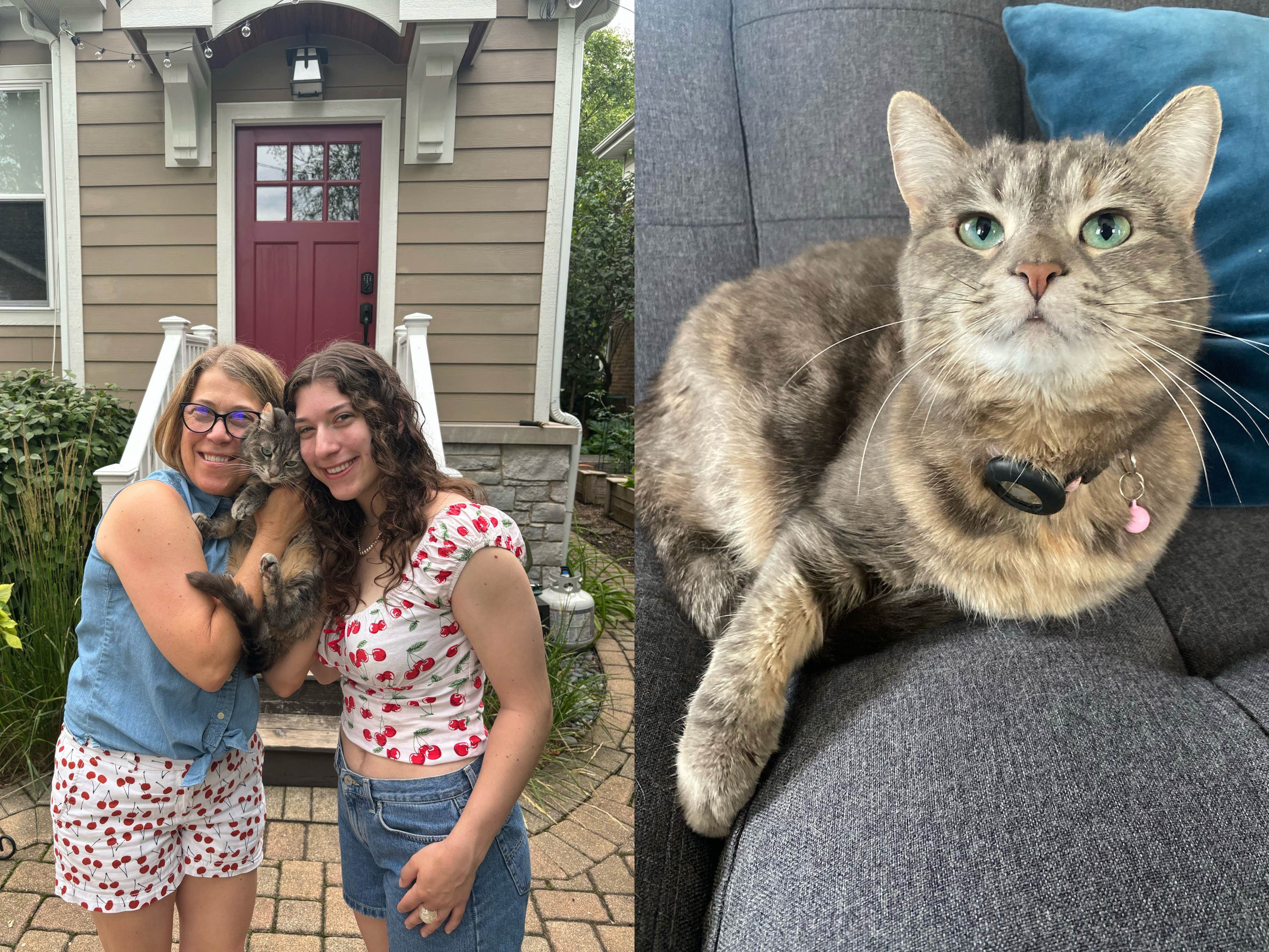 PetSmart gave their cat to the wrong people, now she's missing