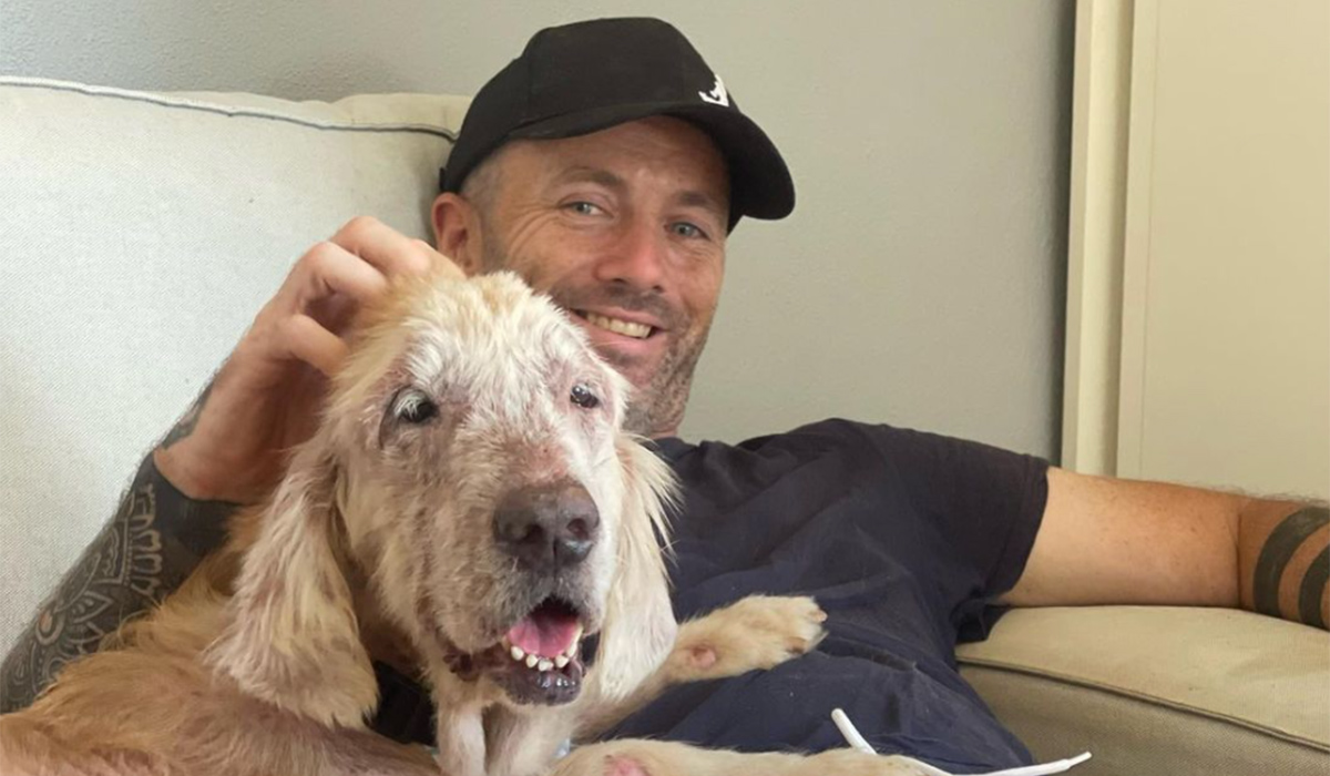 Dog saviour Niall Harbison celebrates major personal milestone
