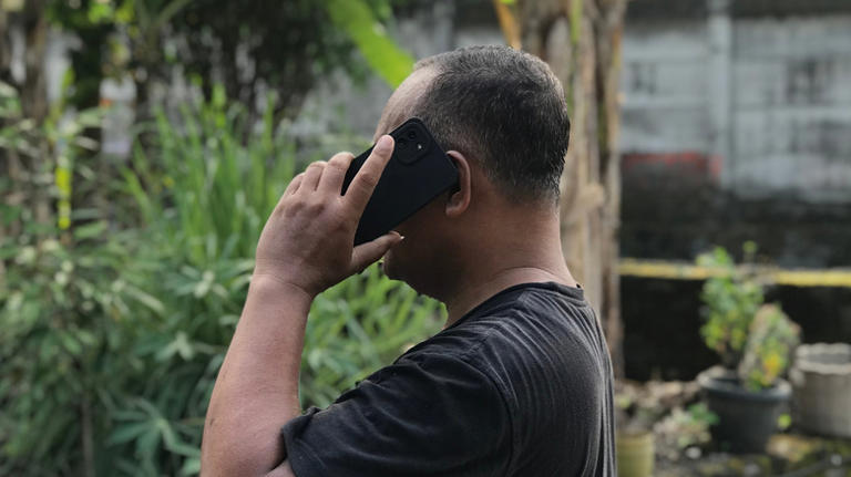 Removing an old tree stump from your yard is easier with these 11 tips ...