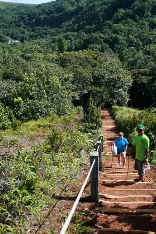 Trekking to Ngardmau Waterfall: Palau’s wild rainforest on Babeldaob