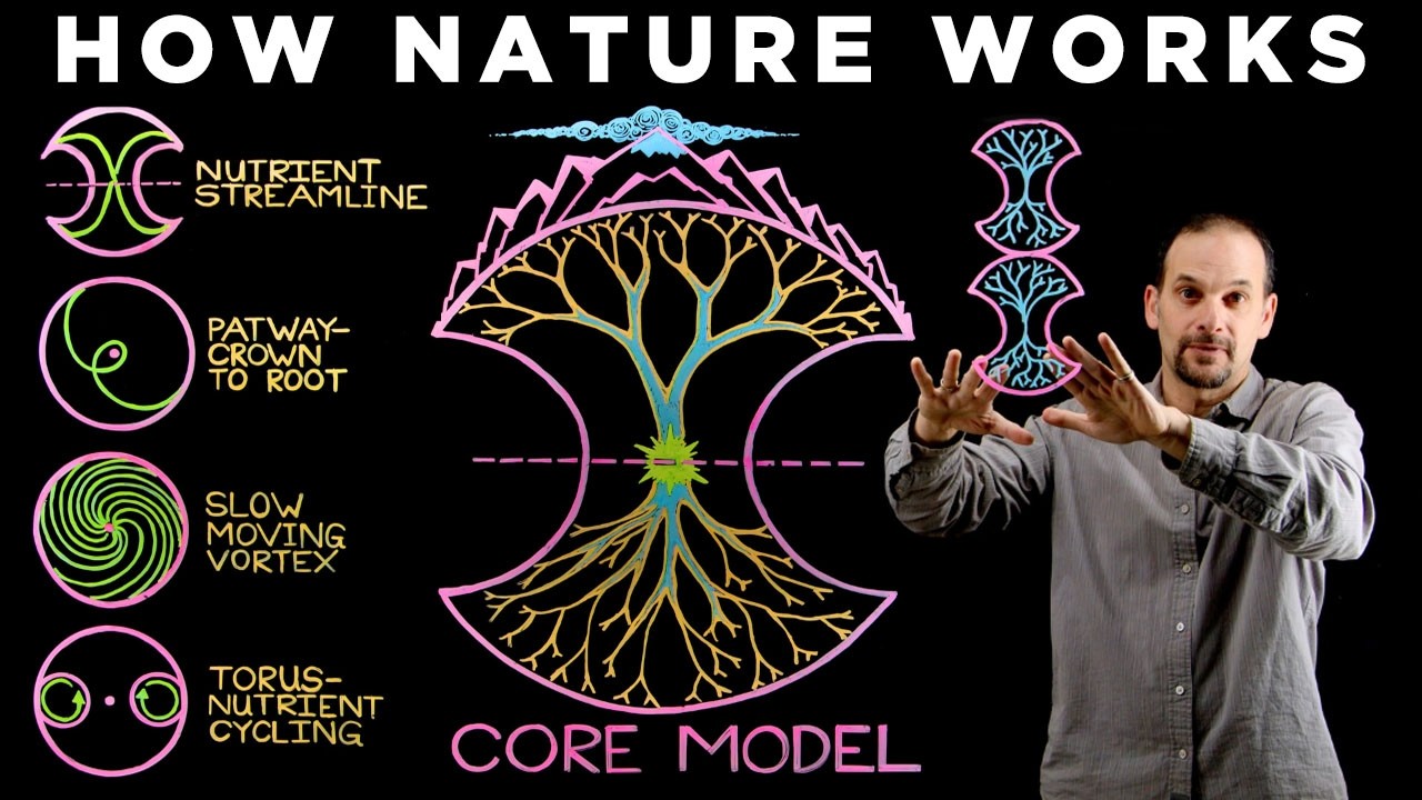 How to see the hidden patterns of nature