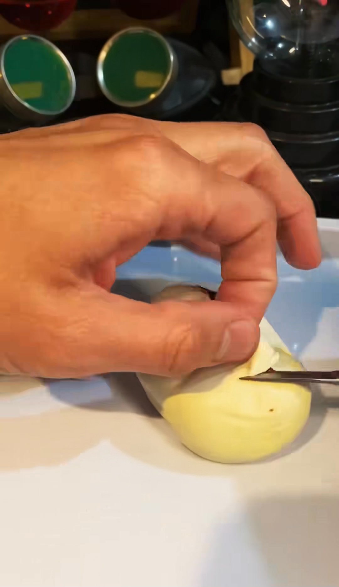 Ball python egg cutting