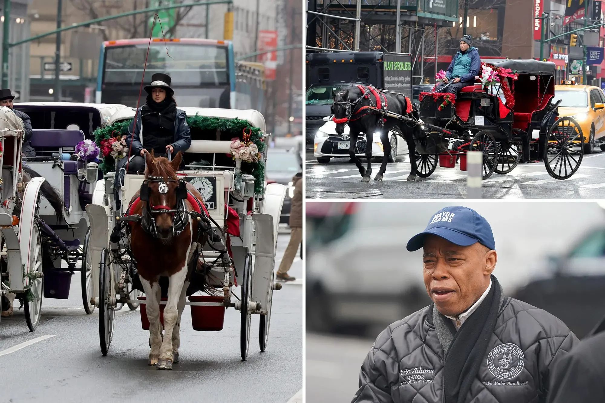 NYC’s horse carriages must get city vet inspection or have license ...