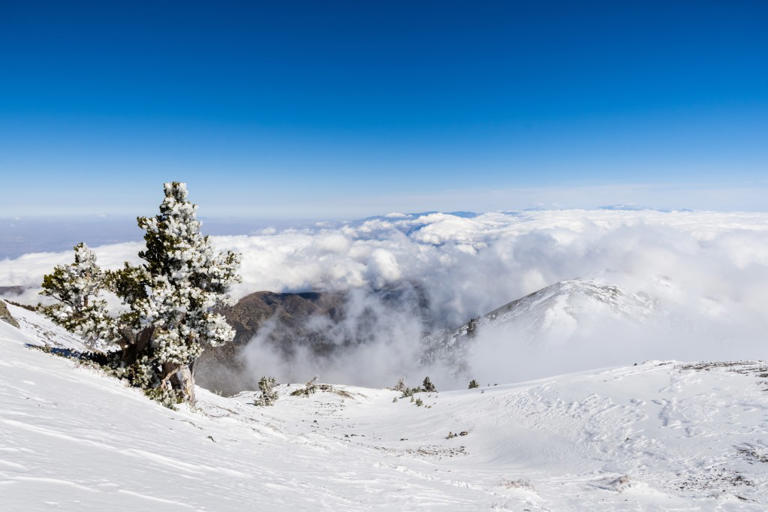 19-year-old hiker who died on SoCal’s Mount Baldy after 500-foot fall ...