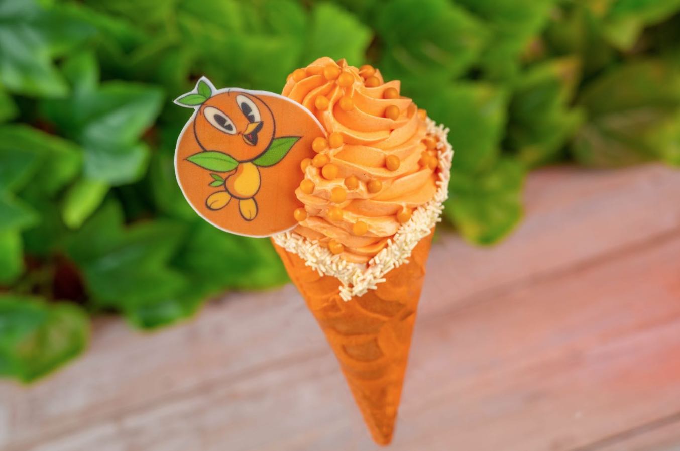 Walt Disney World in June