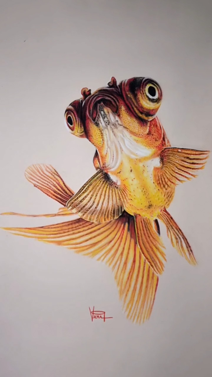 Goldfish drawing that feels peaceful and refined