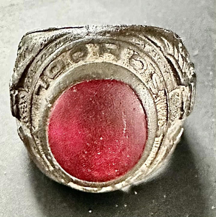 Lake Erie seiche uncovers lost treasures in Michigan