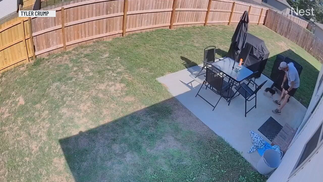 Craighead County sheriff investigates animal control officer for animal ...