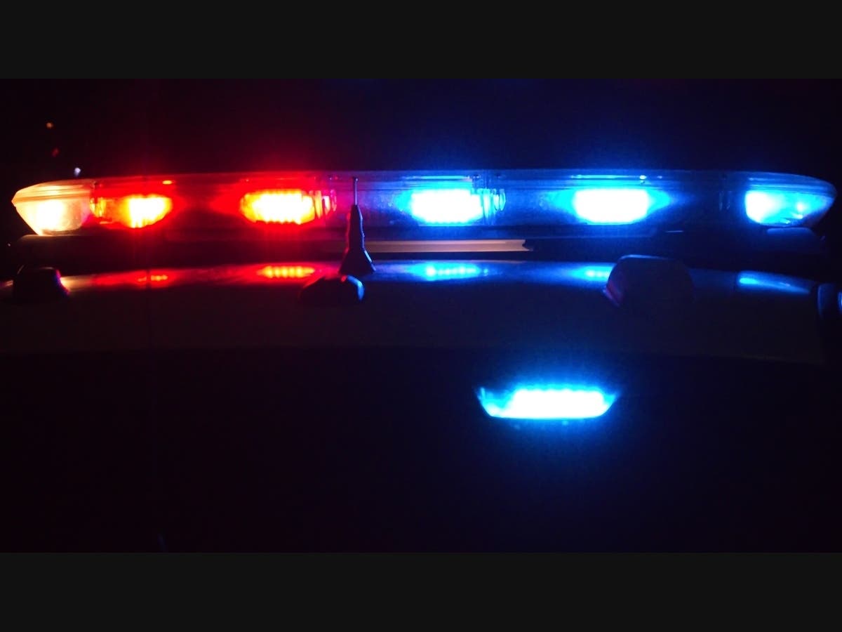 'Sorry, I been drunk': Suspect returns mandolins stolen from NJ music store