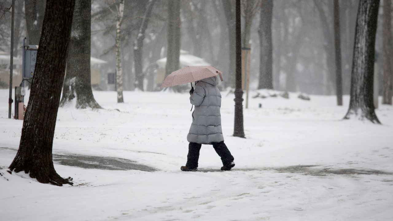 Vague de froid polaire : le Centre-Val de Loire ne pourra pas y ...