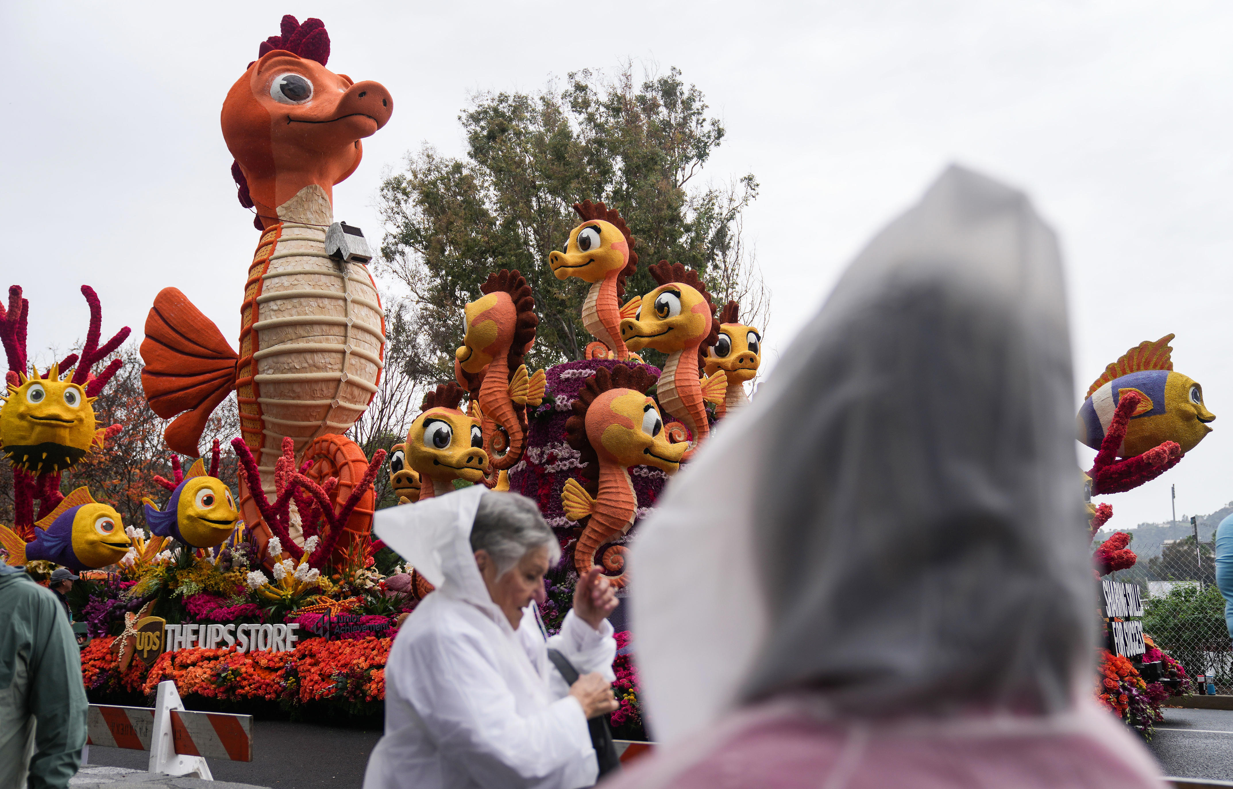 Cal Poly float, mini horses and George Takei. Our favorite Rose Parade ...
