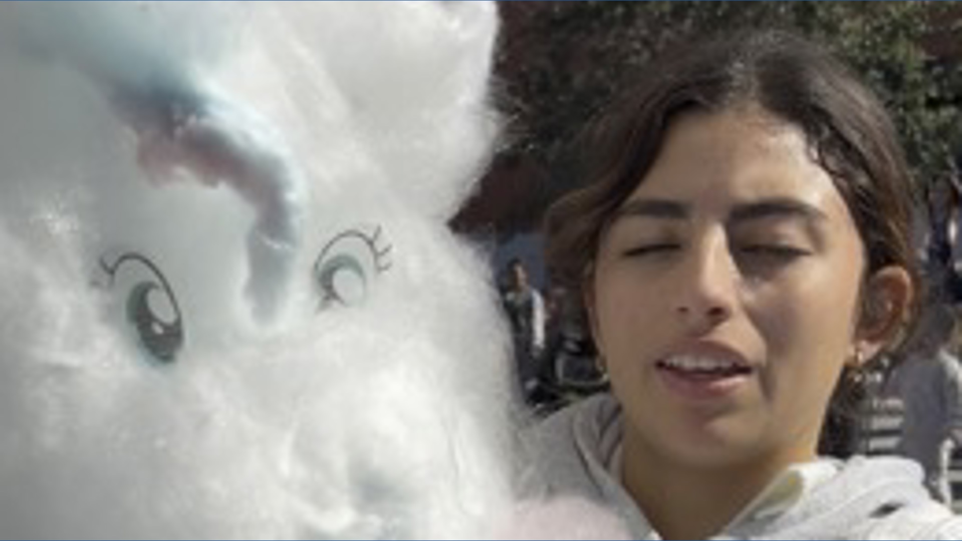 Cotton candy horses and other sweet treats for families celebrating New ...