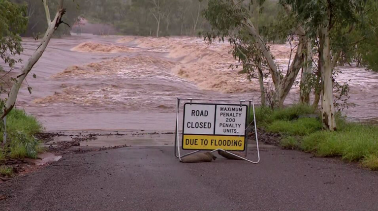 More than 16,000 livestock lost as flood levels keep rising in northern ...