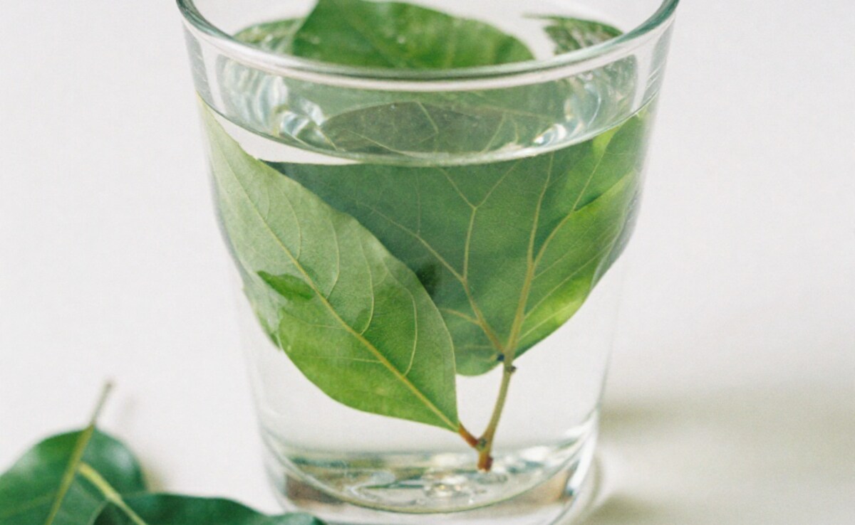 Can having curry leaf water first thing in the morning improve digestion?